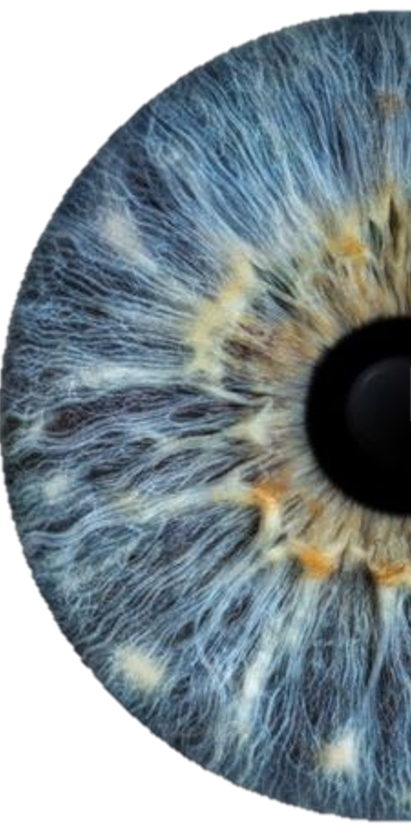 PROPHESEE | Metavision Technologies